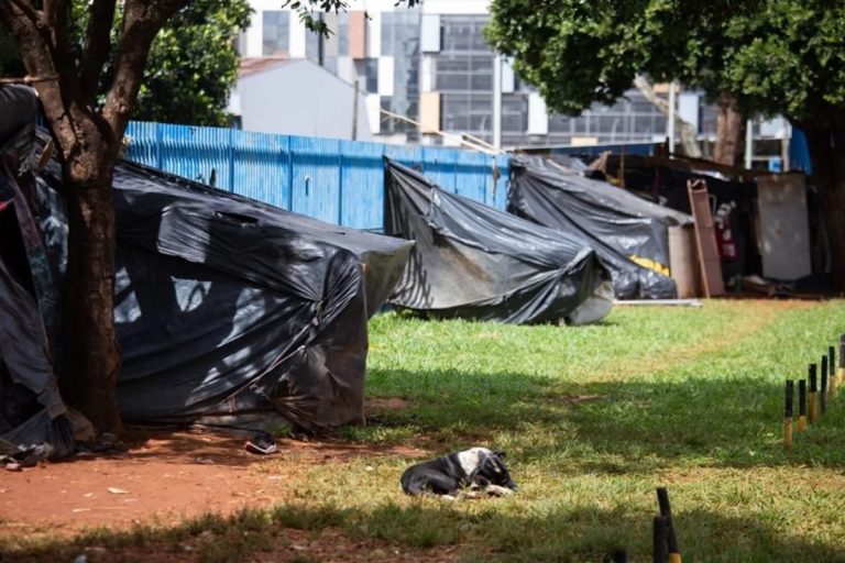 GDF fará ações de acolhimento e retirada de barracos em áreas do Plano ...